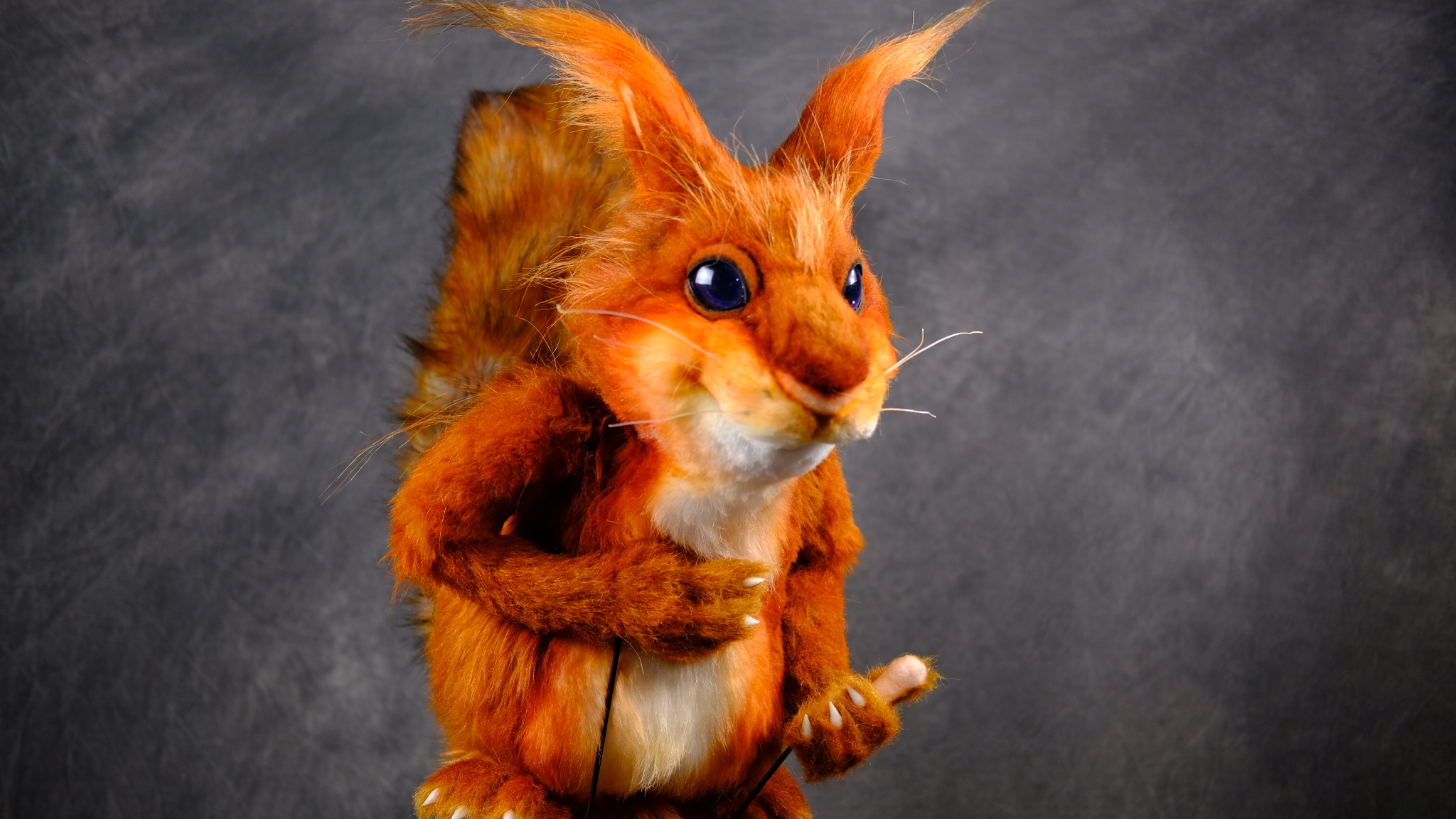 Squirrel Puppet - Eco Egg • Chris Barlow Puppet Maker and Artist